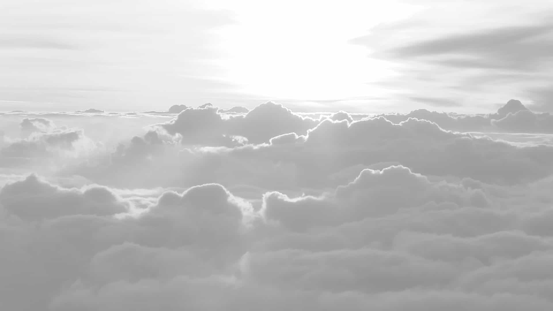 In Appreciation of Tom Hedrick