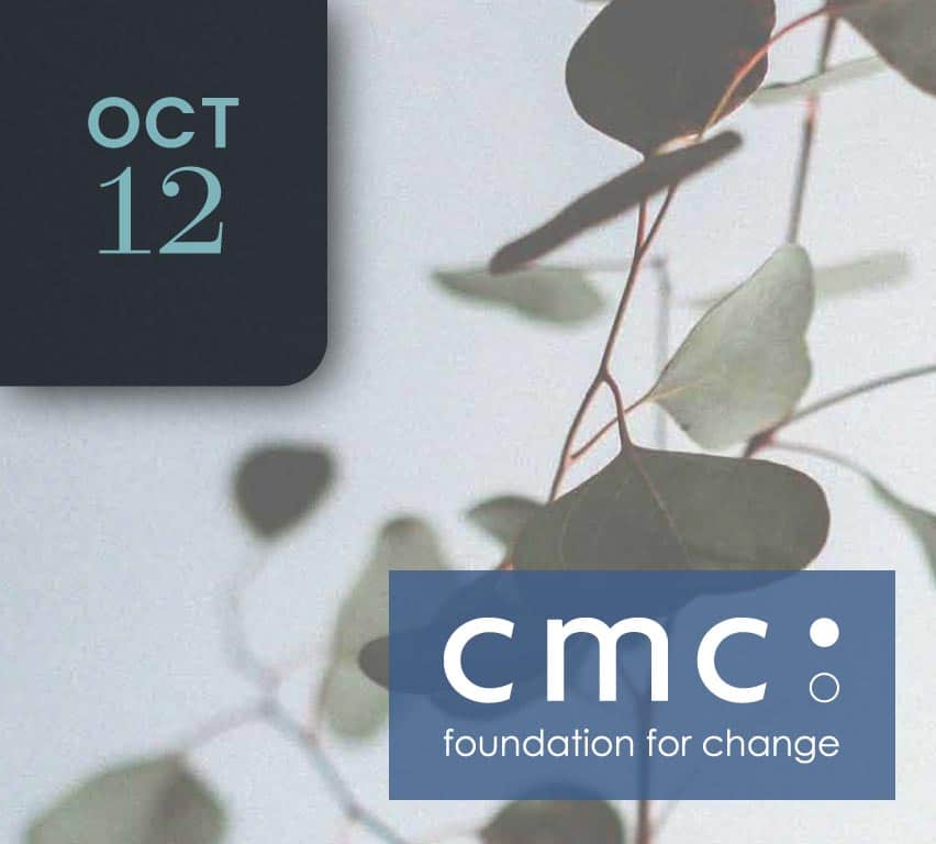Level 1 ITC Training | CMC:Foundation for Change