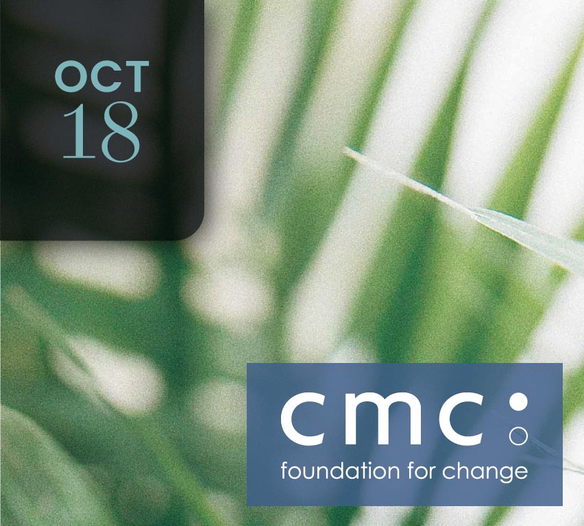 Level 1 ITC Training | CMC:Foundation for Change